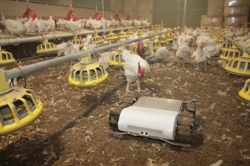Une moindre pénibilité grâce au robot | Réussir volailles