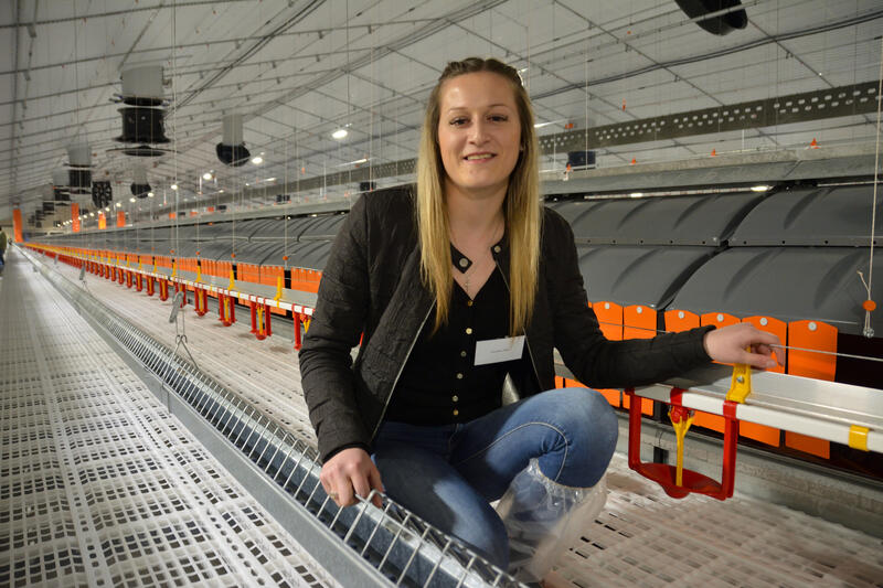 " J'ai 3 500 m² de poules reproductrices en un seul bâtiment ...