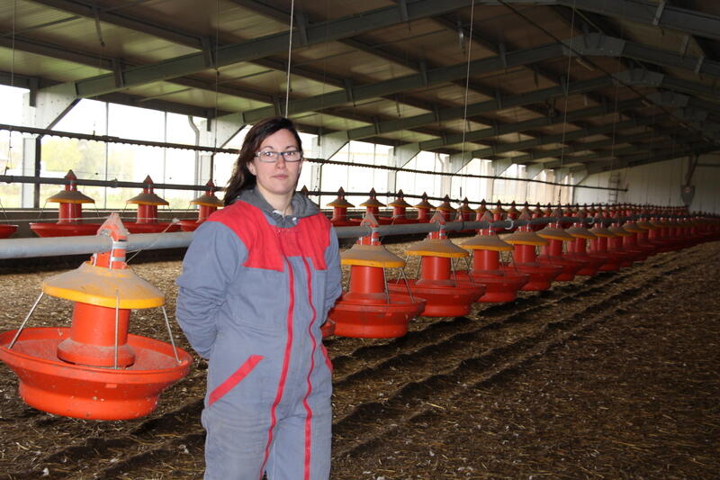 Les leviers pour faciliter la transmission en volailles | Réussir volailles