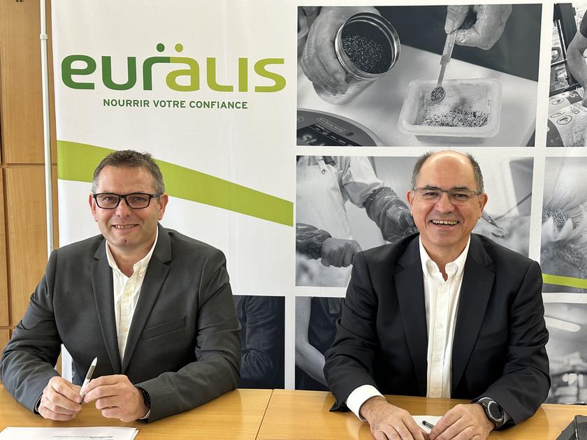 Euralis réfléchit à l’élevage de « Poulets d’Ici » | Réussir volailles